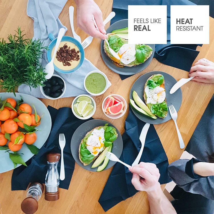 What is Biodegradable Tableware? – Yun BioPack